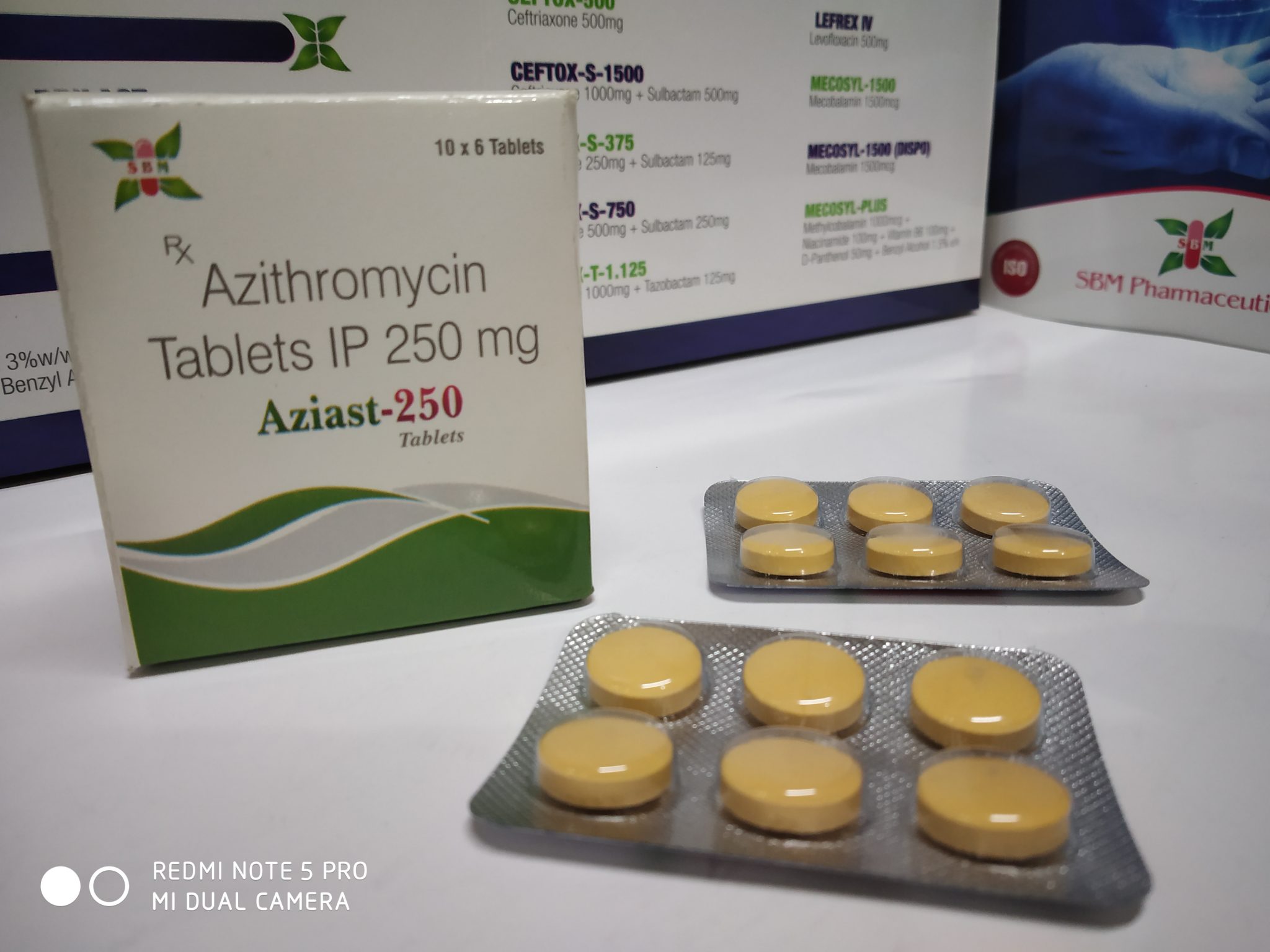 Product Segment – SBM PHARMA